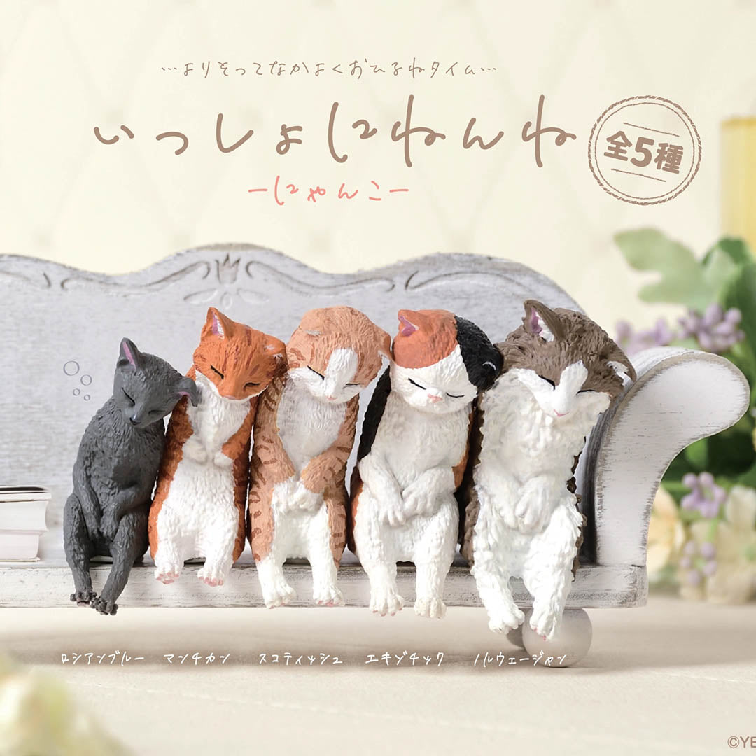 Japanese Blind Box- Let's Sleep Cat Surprise Box – Shop Merci Milo
