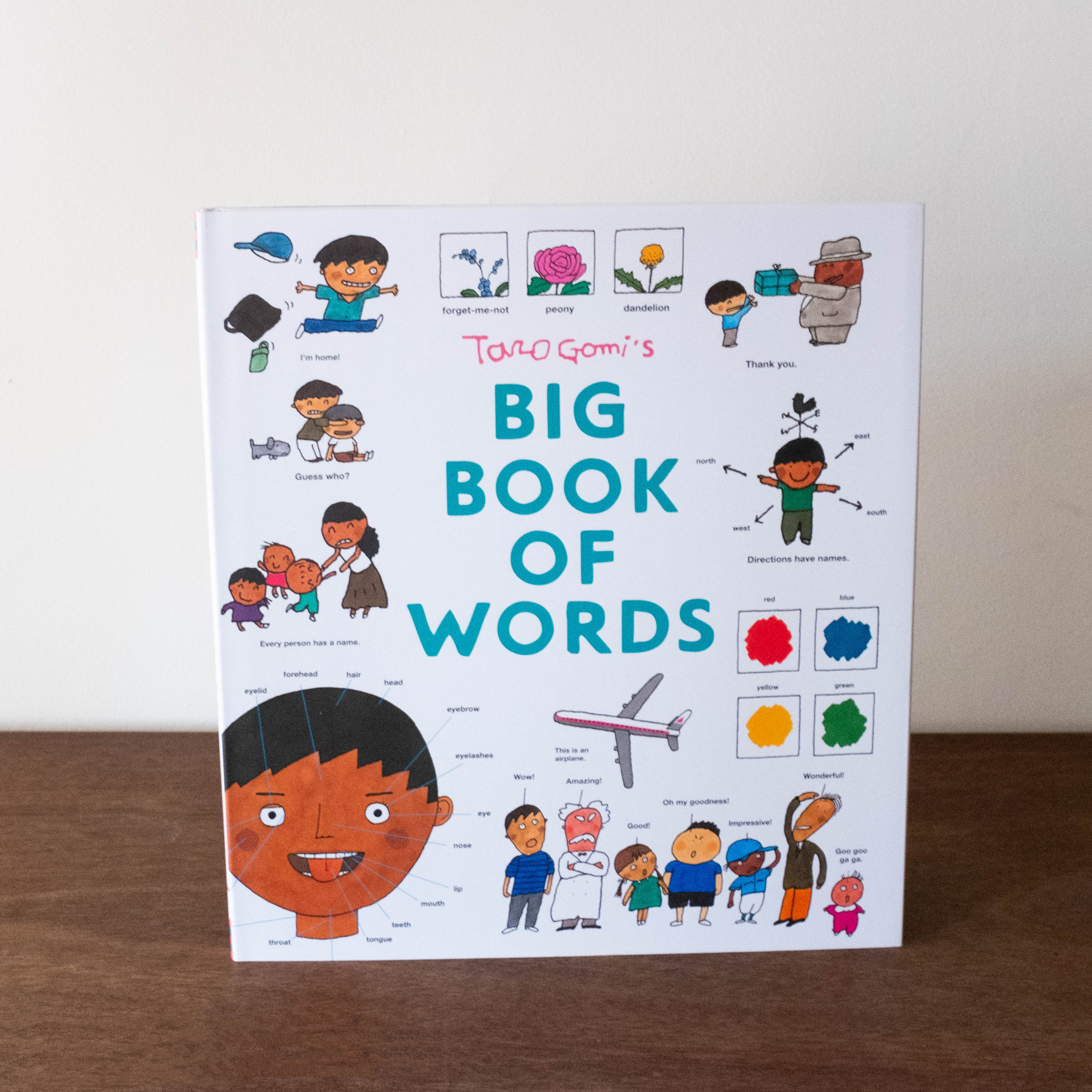 Taro Gomi's Big Book of Words – Shop Merci Milo