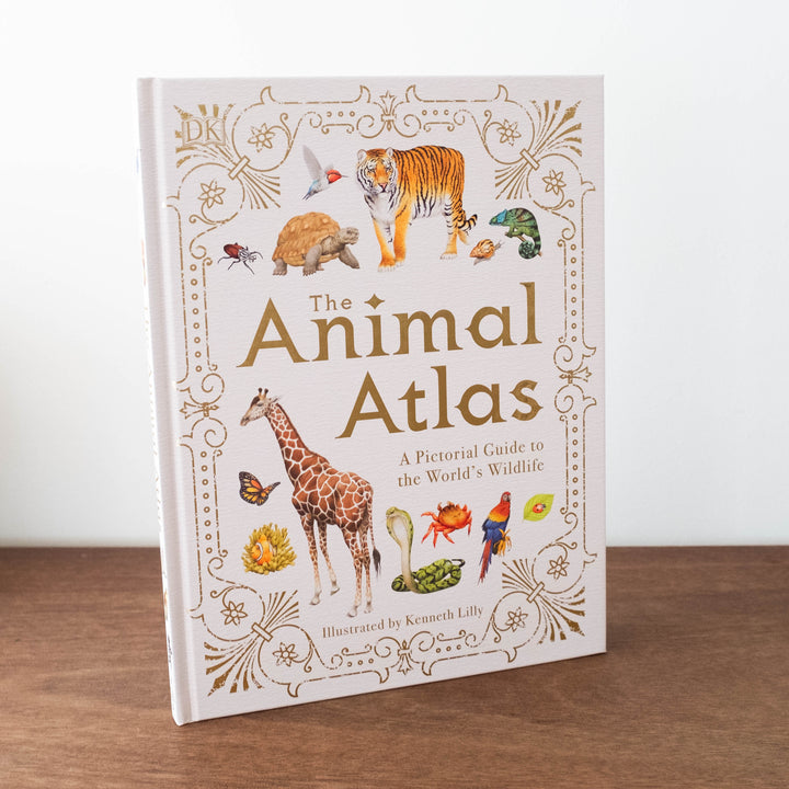 NEW The Animal Atlas Book – Shop Merci Milo