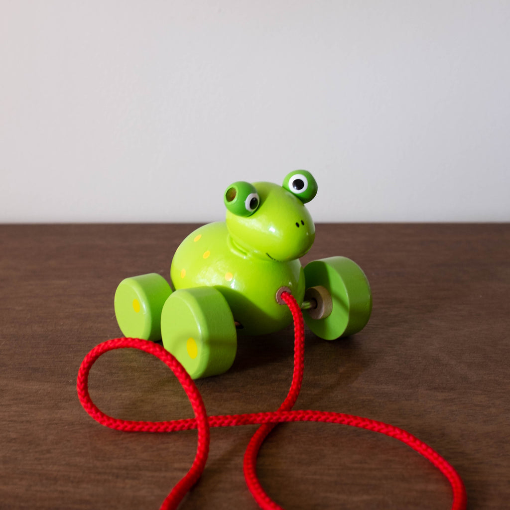 Pull Along/Push Toys | Shop Merci Milo